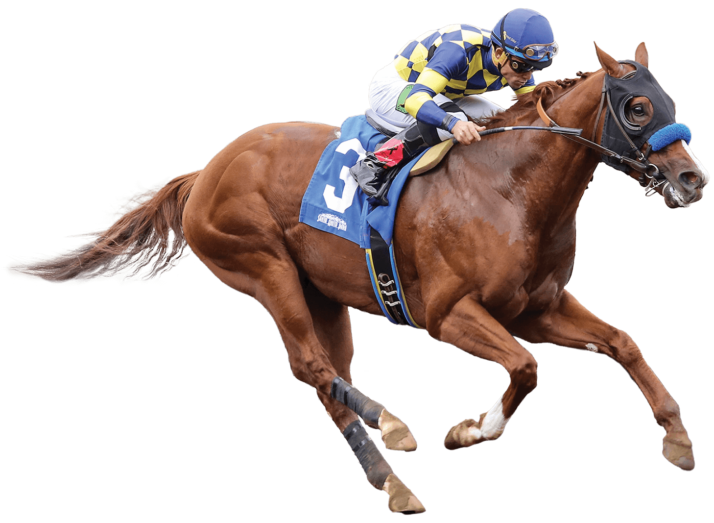 Chitu Bridlewood Farm Chitu Bridlewood Farm
